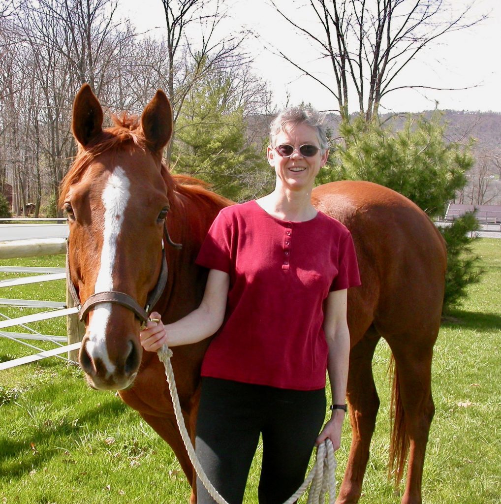 Lessons - Teddie Ziegler Horsemanship